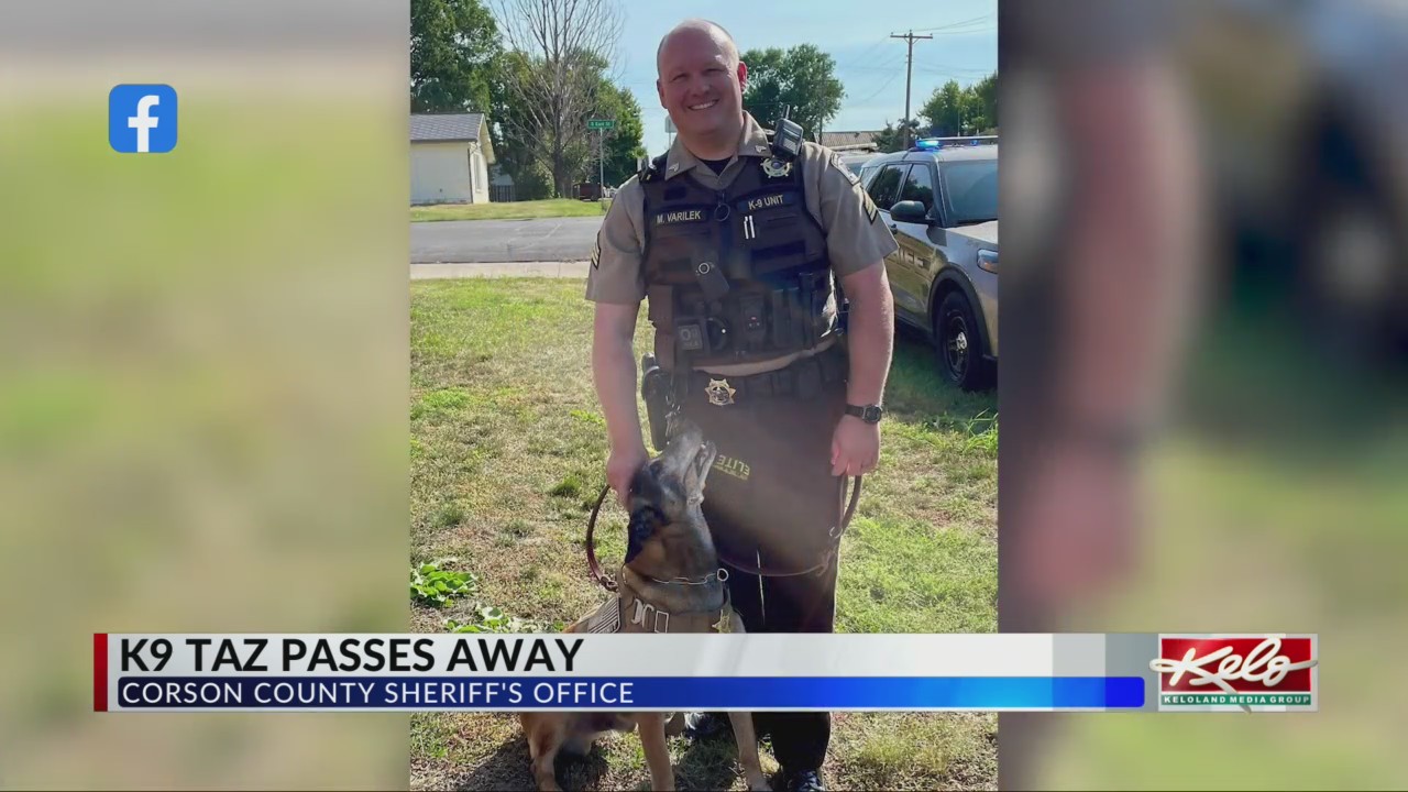 Corson County K9 passes away – KELOLAND.com