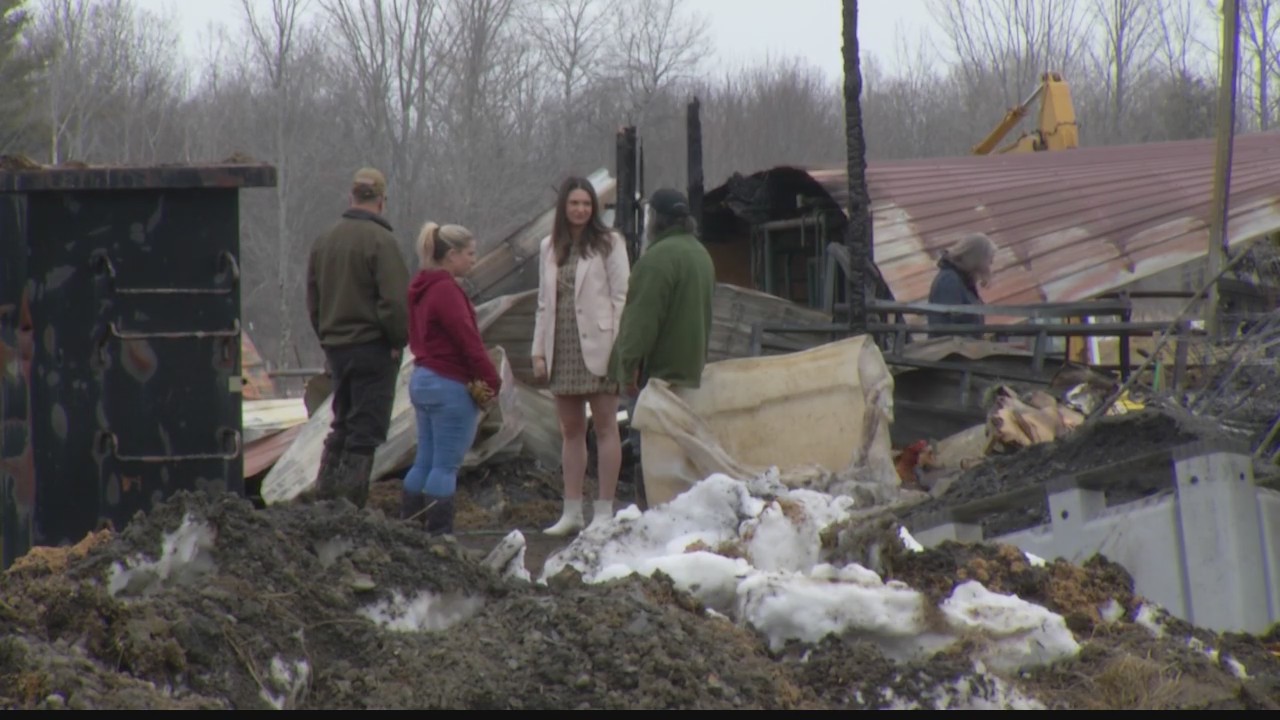 Hundreds of animals die in barn fire, farm family devastated – NEWS10 ABC