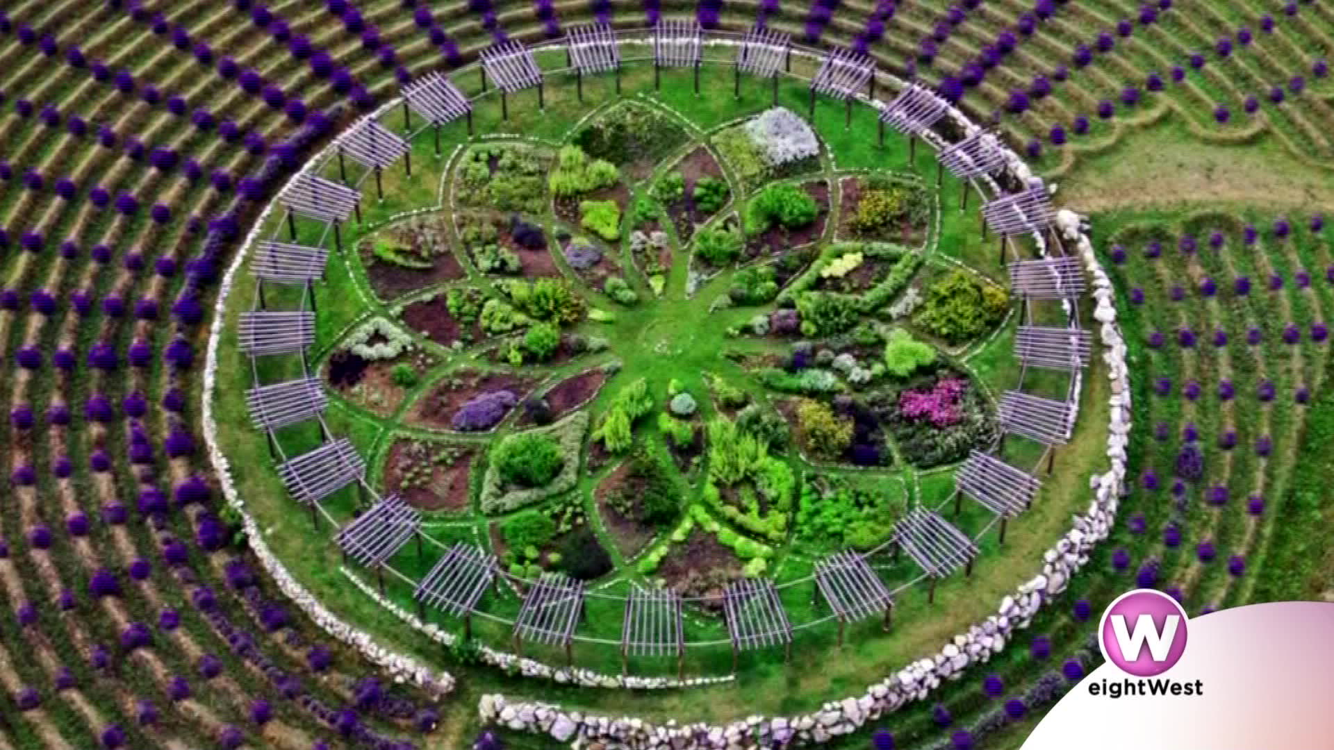 Visit a lavender labyrinth this summer – WOODTV.com