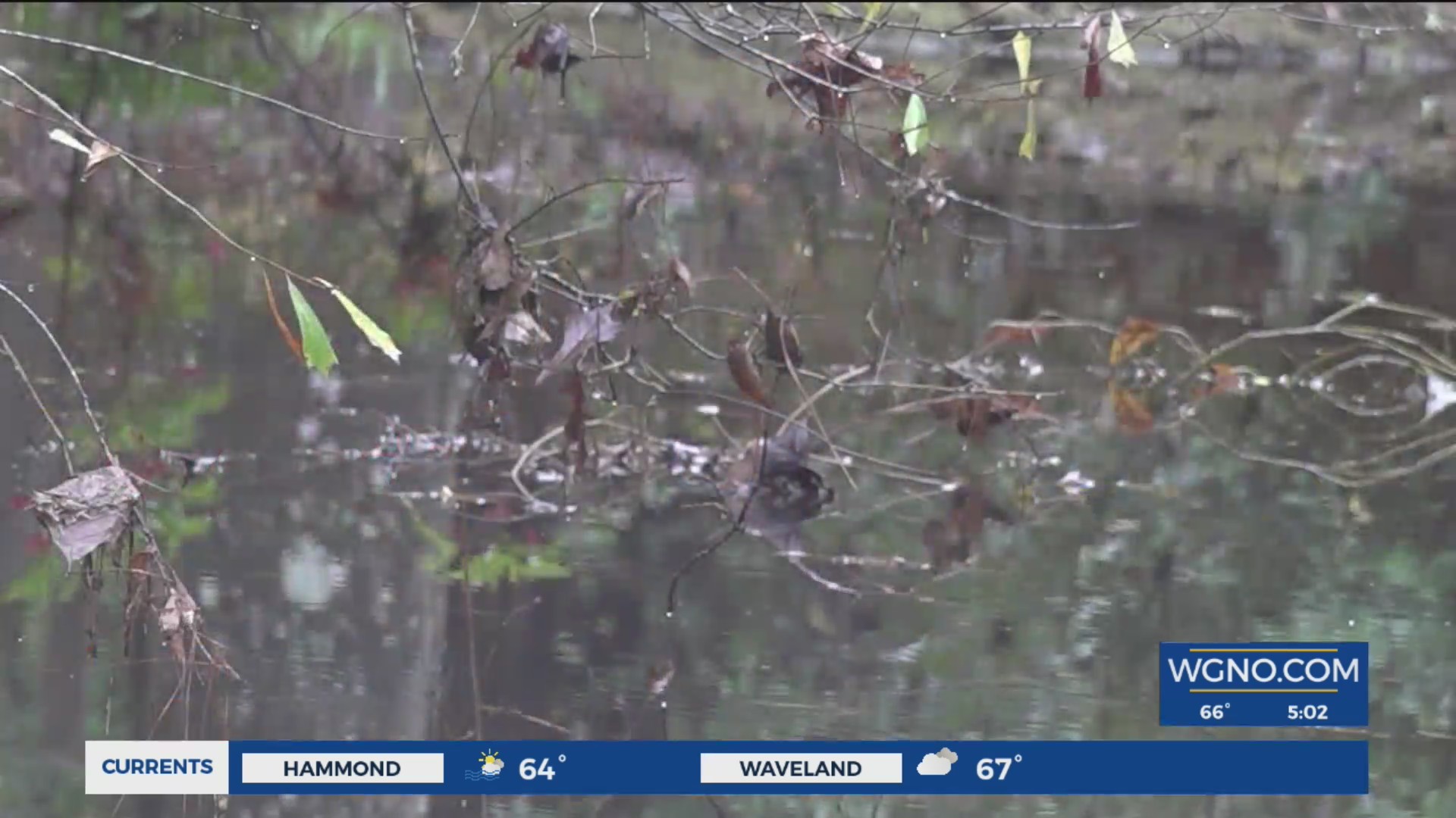 Abita Springs residents reflect on major flooding – WGNO