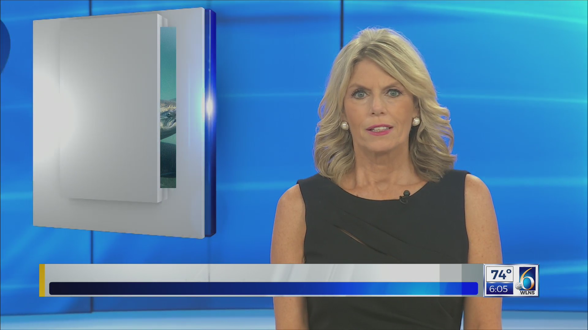 6 News at 6:00 p.m. FISH KILL UPDATE – WLNS 6 News