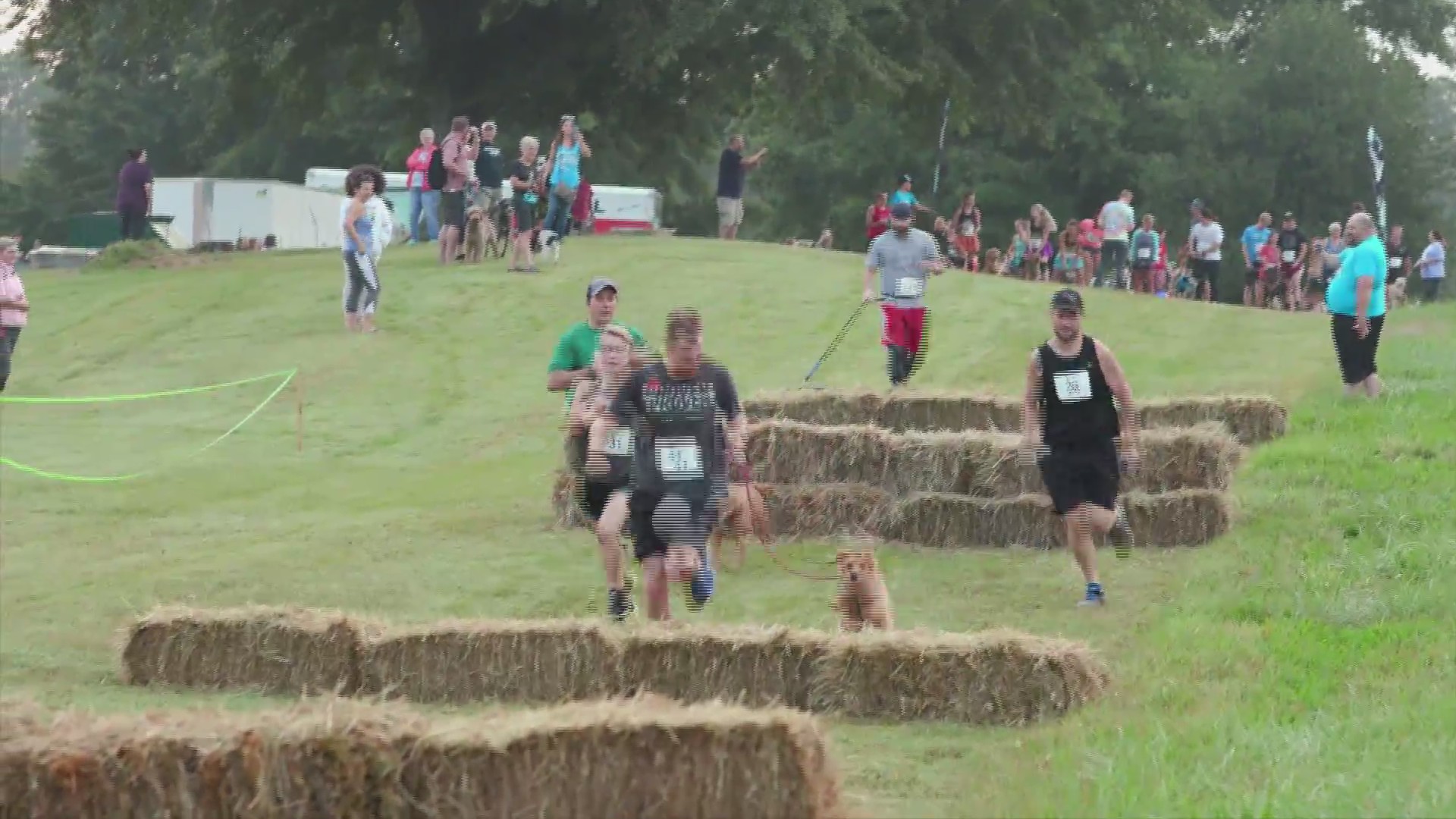UltiMutt Race – Fun Obstacle Course Race Series For You And Your Dog ...