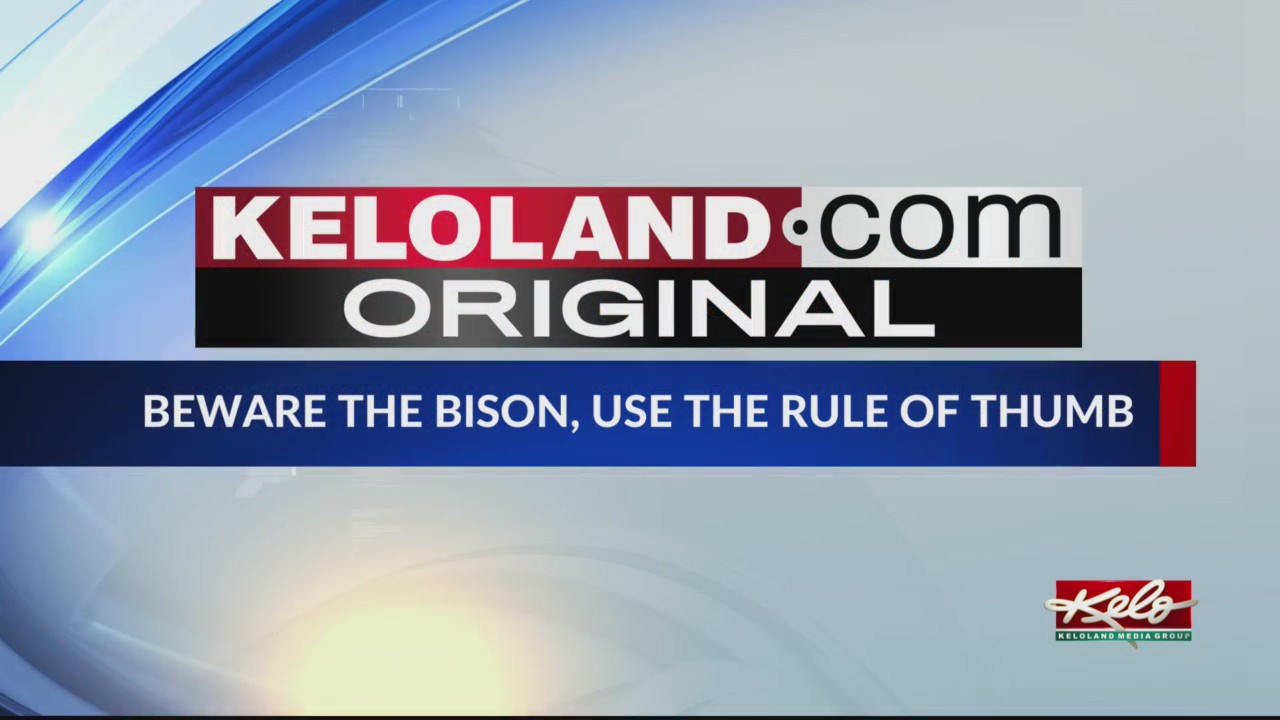 Beware the bison, use the rule of thumb – KELOLAND.com
