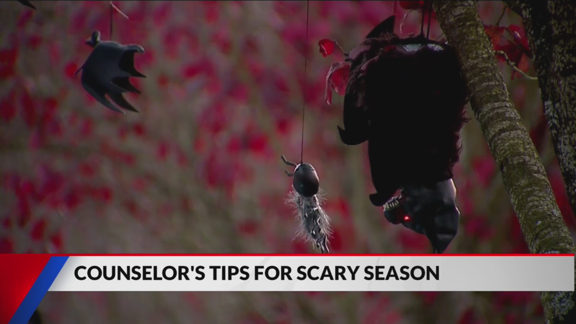 Tips from a school counselor for the spooky season – Fox 59
