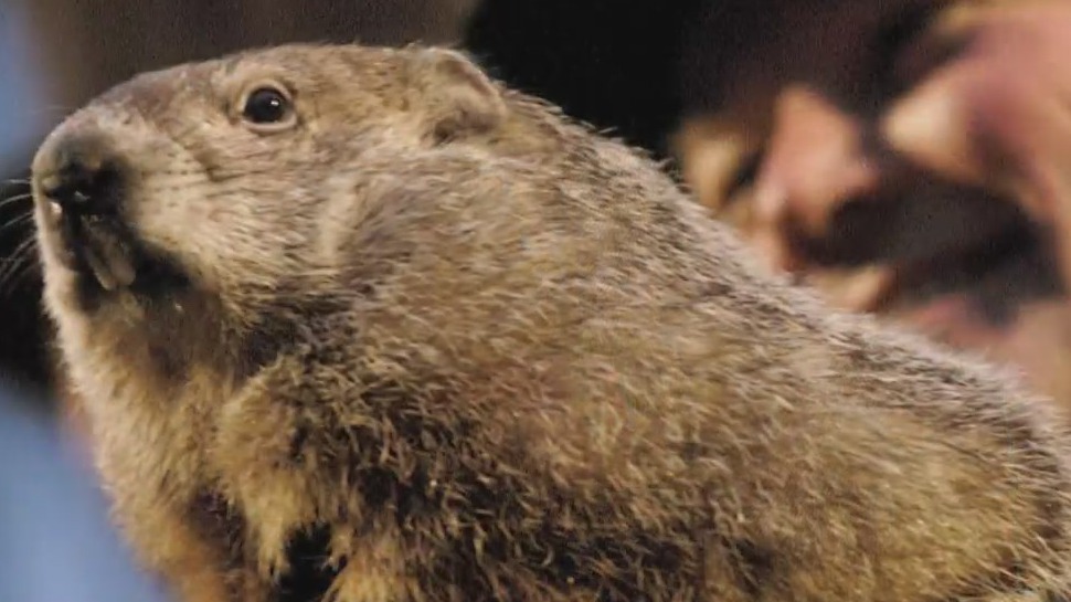 ‘Inner Circle’ member on Groundhog Day | Morning in America – NewsNation