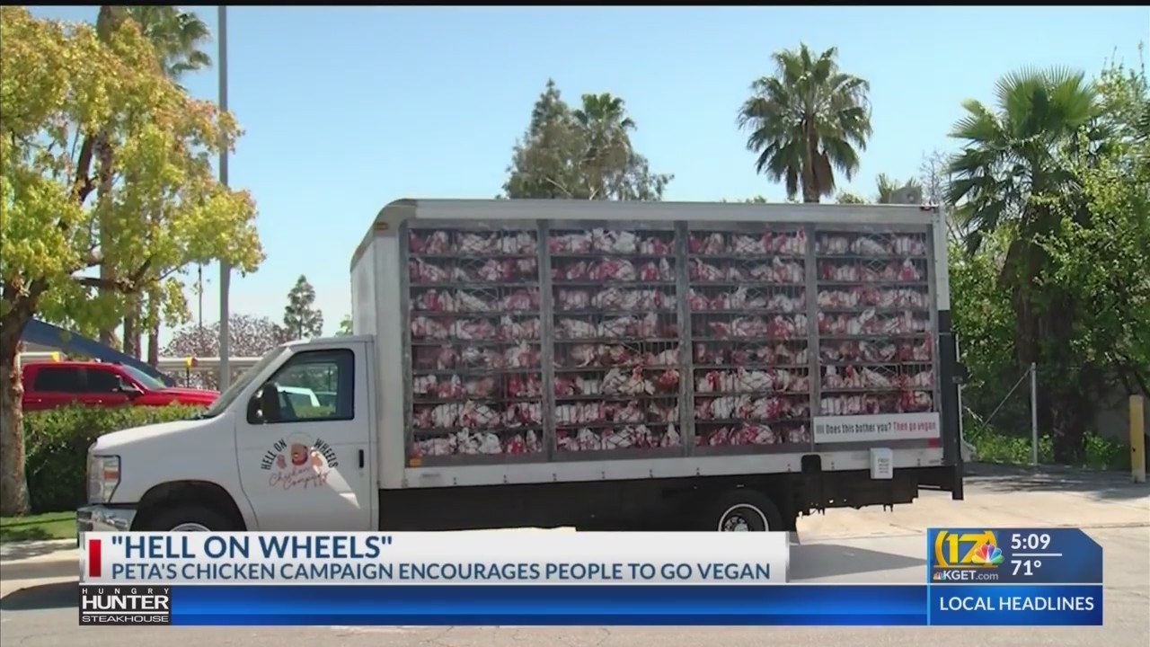 PETA launches “Hell on Wheels” campaign encouraging people to go vegan ...
