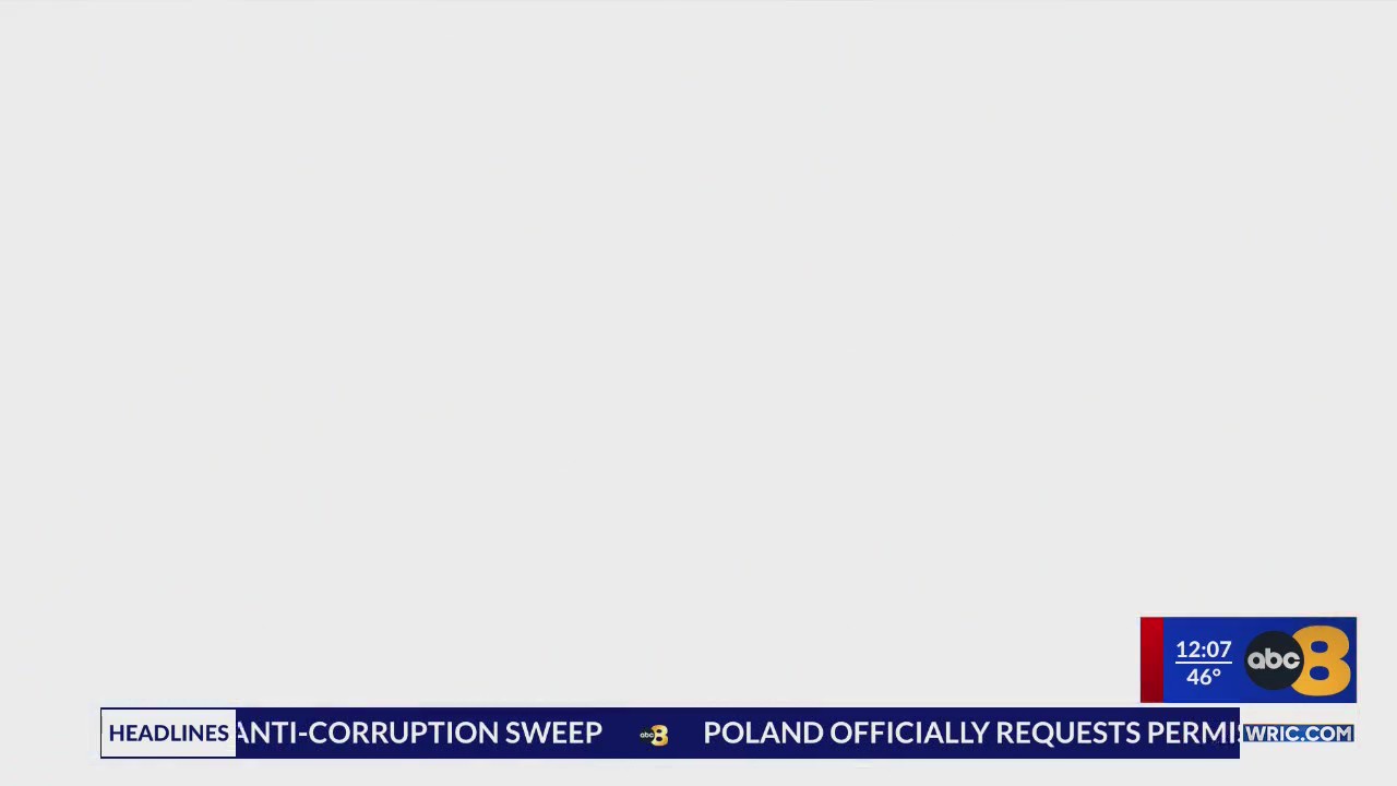 Chesterfield Raising Cane’s officially opens for business – WRIC ABC 8News
