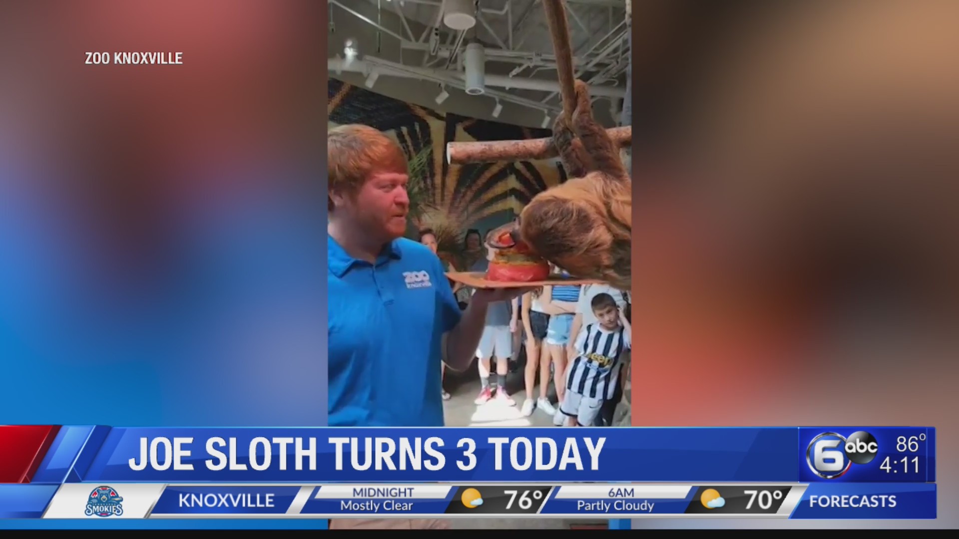 Joe Sloth turns 3 Thursday – WATE 6 On Your Side