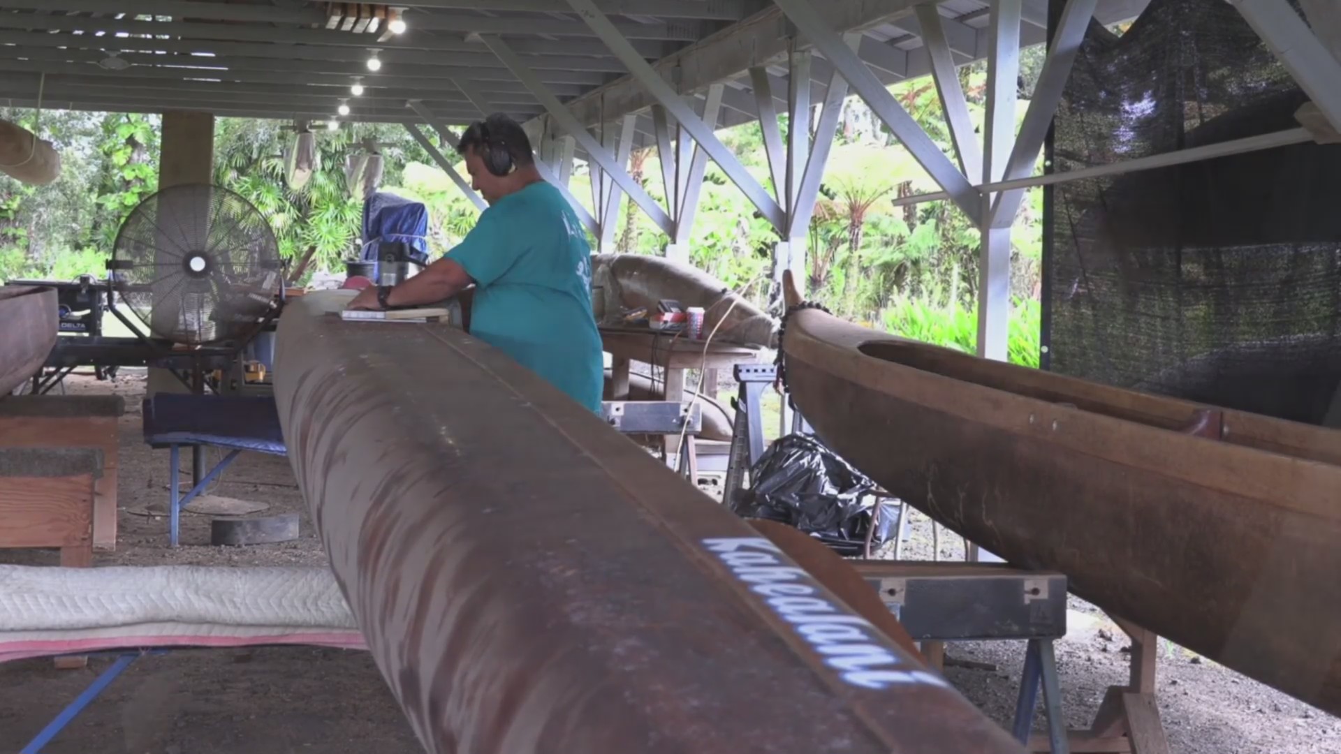Forests for Life: Forests of Culture, A Look into the Tradition of Koa ...