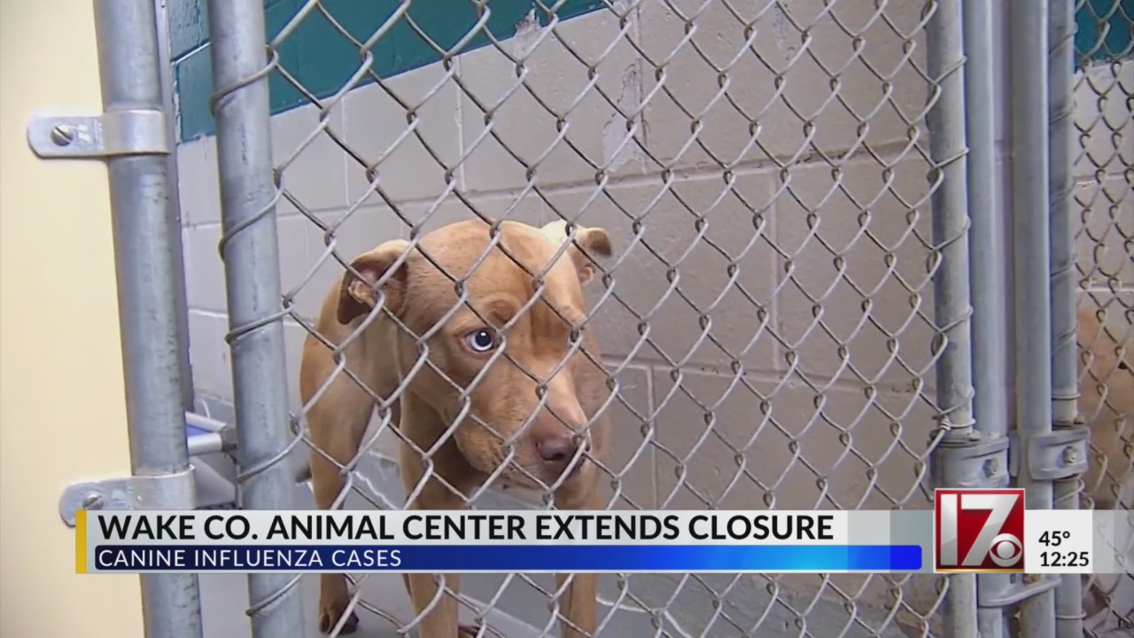 Wake County Animal Center extends closure – CBS17.com