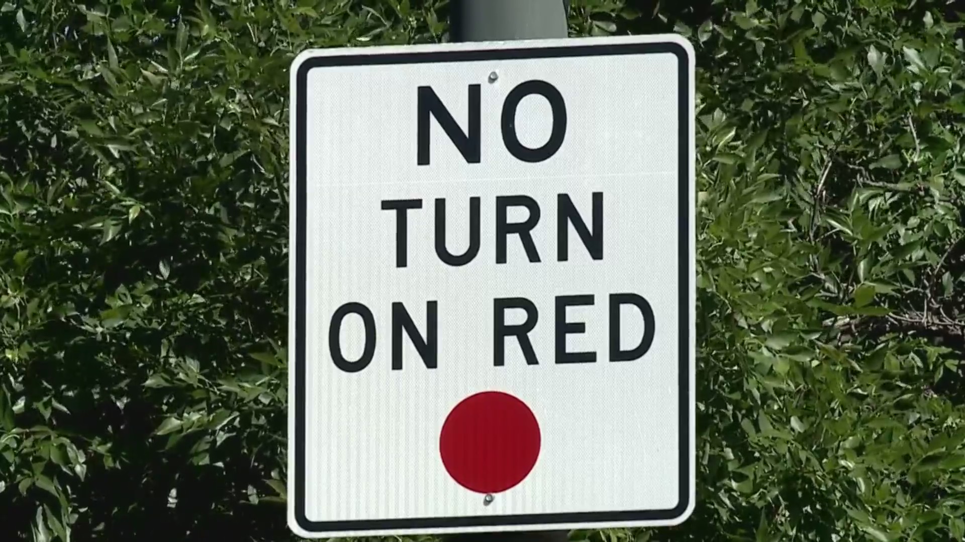 Could banning right turns on red prevent crashes? – FOX31 Denver