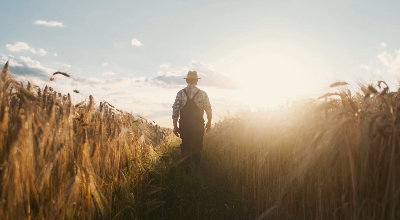 Mike Janssen’s life comes full circle – WGN-TV