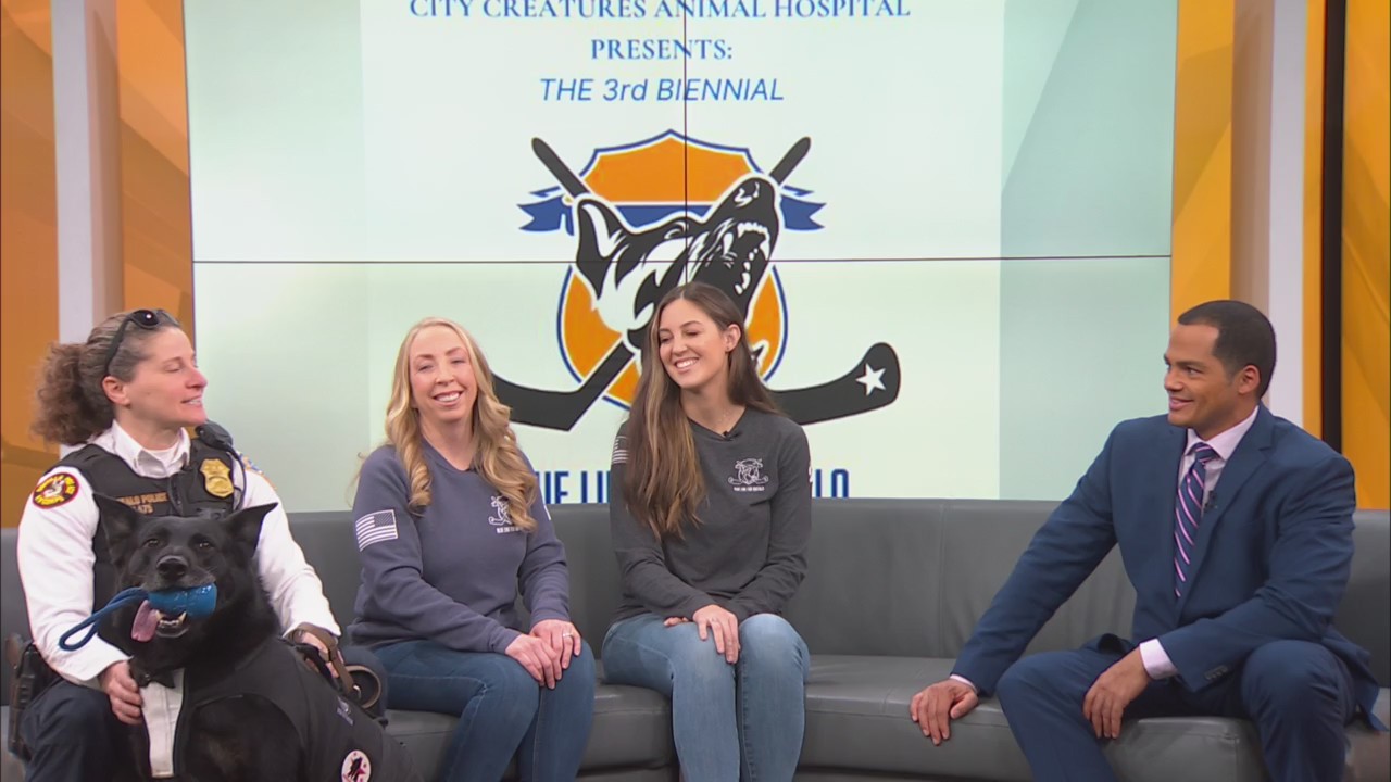 Interview: Blue Line for Buffalo – News 4 Buffalo