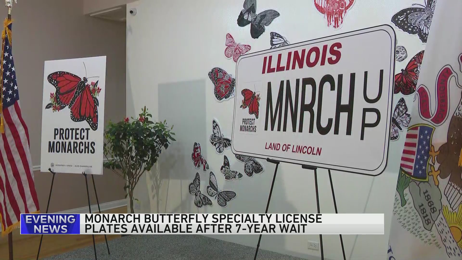 Illinois releases monarch butterfly license plates – WGN-TV