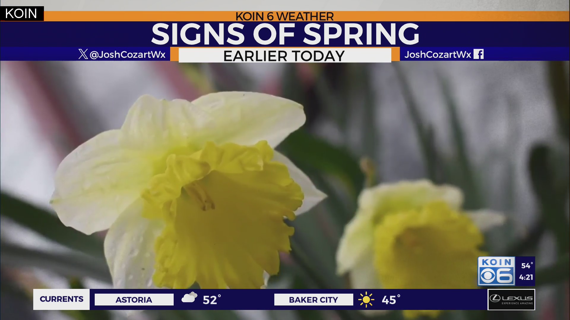 Signs of spring come to an end next week in Portland – KOIN.com