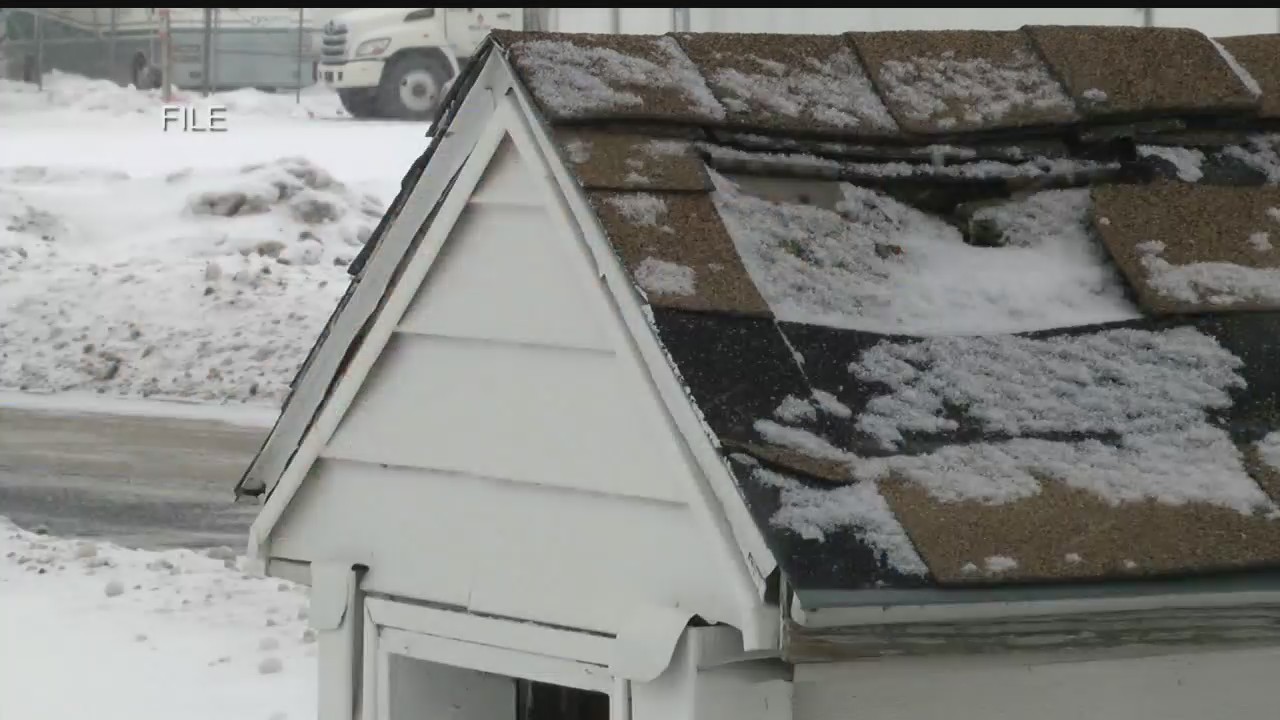 Animal Charity says pets left out in cold will be confiscated – WKBN.com