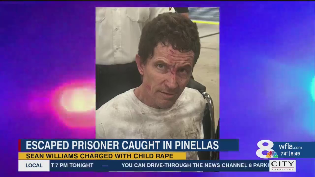 Escaped child rape suspect Sean Williams in custody in Pinellas County ...