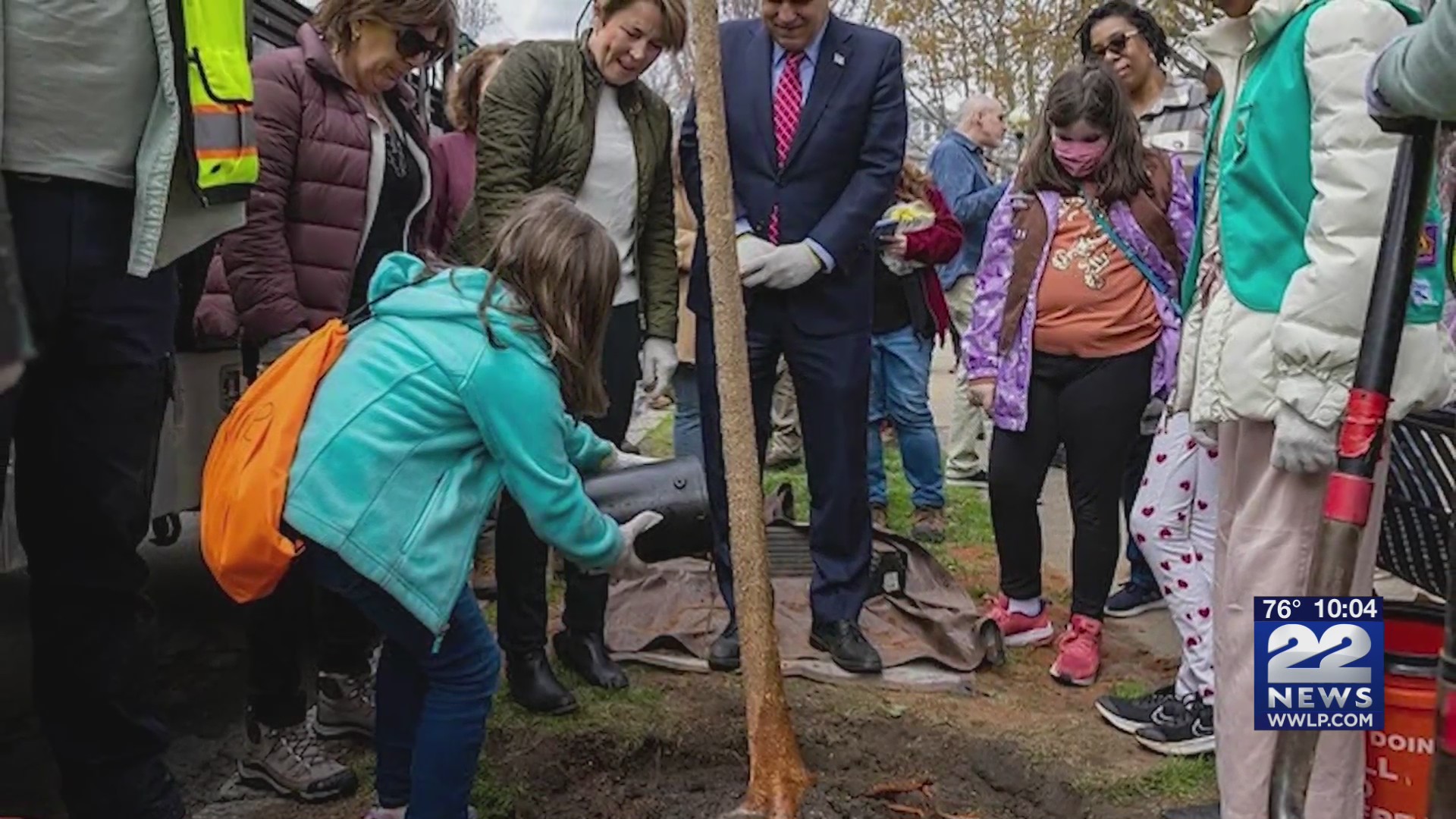 Tree planting grants awarded to Holyoke, Springfield & Westfield – WWLP
