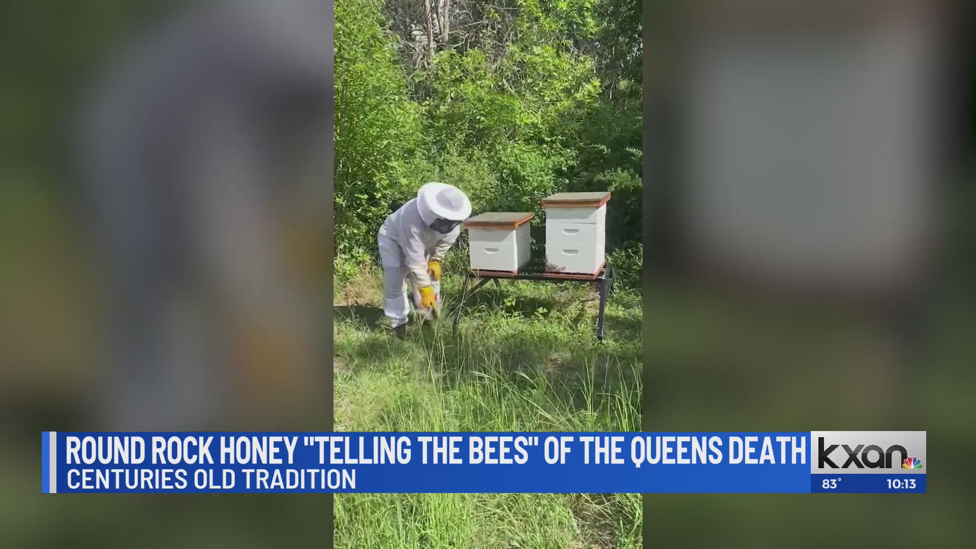 Round Rock bee keepers inform hive of Queen Elizabeth’s death – KXAN Austin