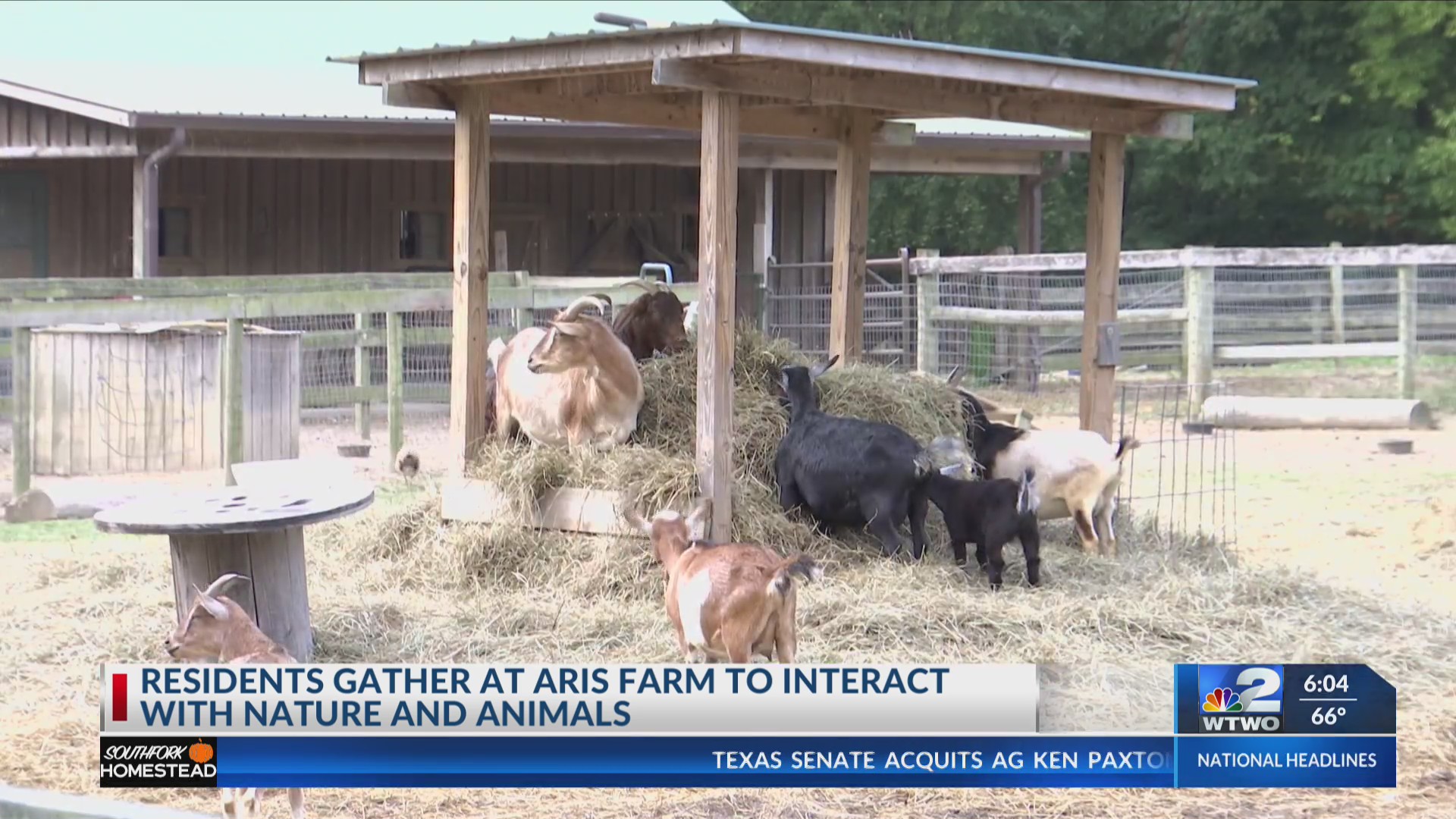 Residents Gather At Aris Farm To Interact With Nature and Animals ...