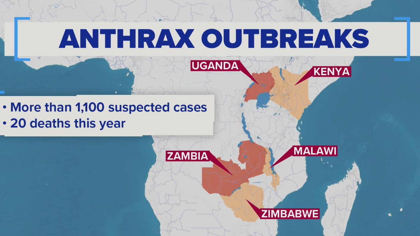 Anthrax outbreaks spreading in Africa | NewsNation Now – NewsNation