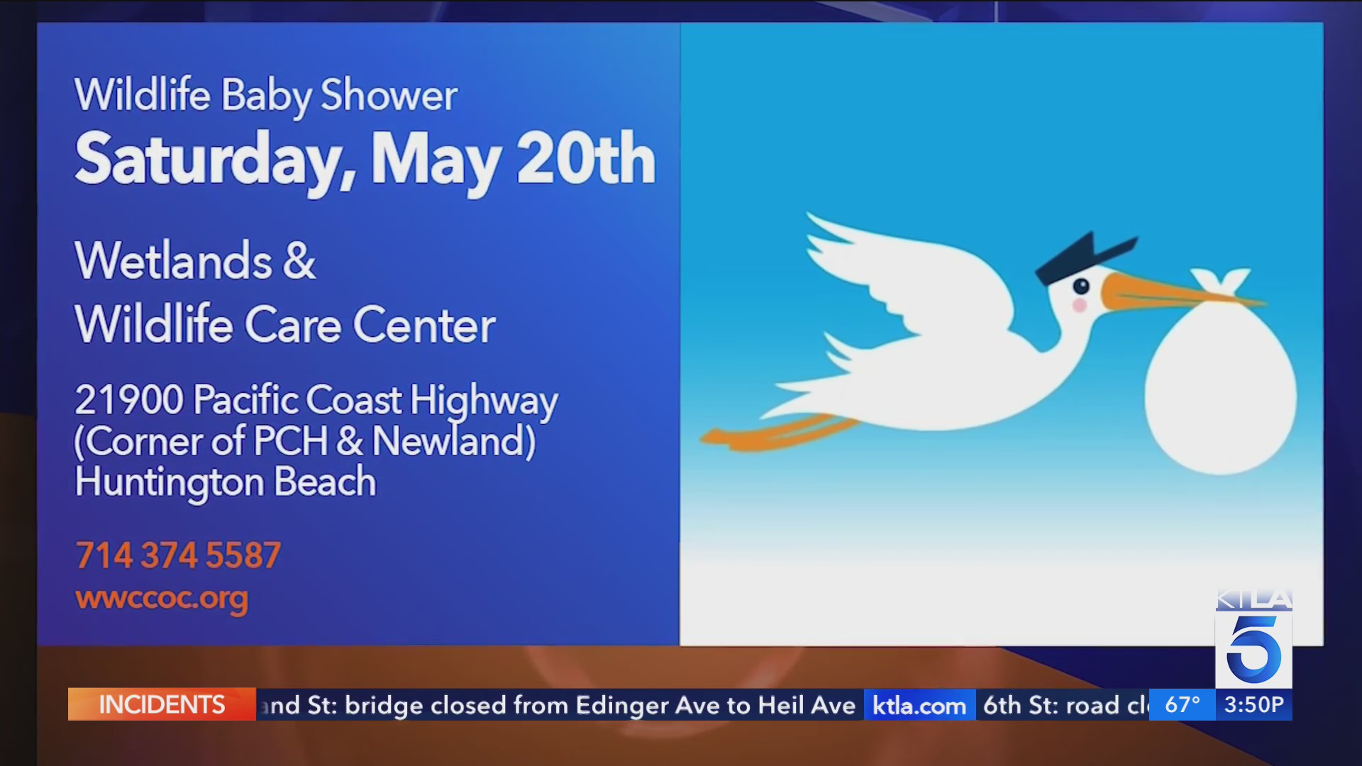 Wildlife Babies Overcrowd the Wetlands and Wildlife Care Center – KTLA