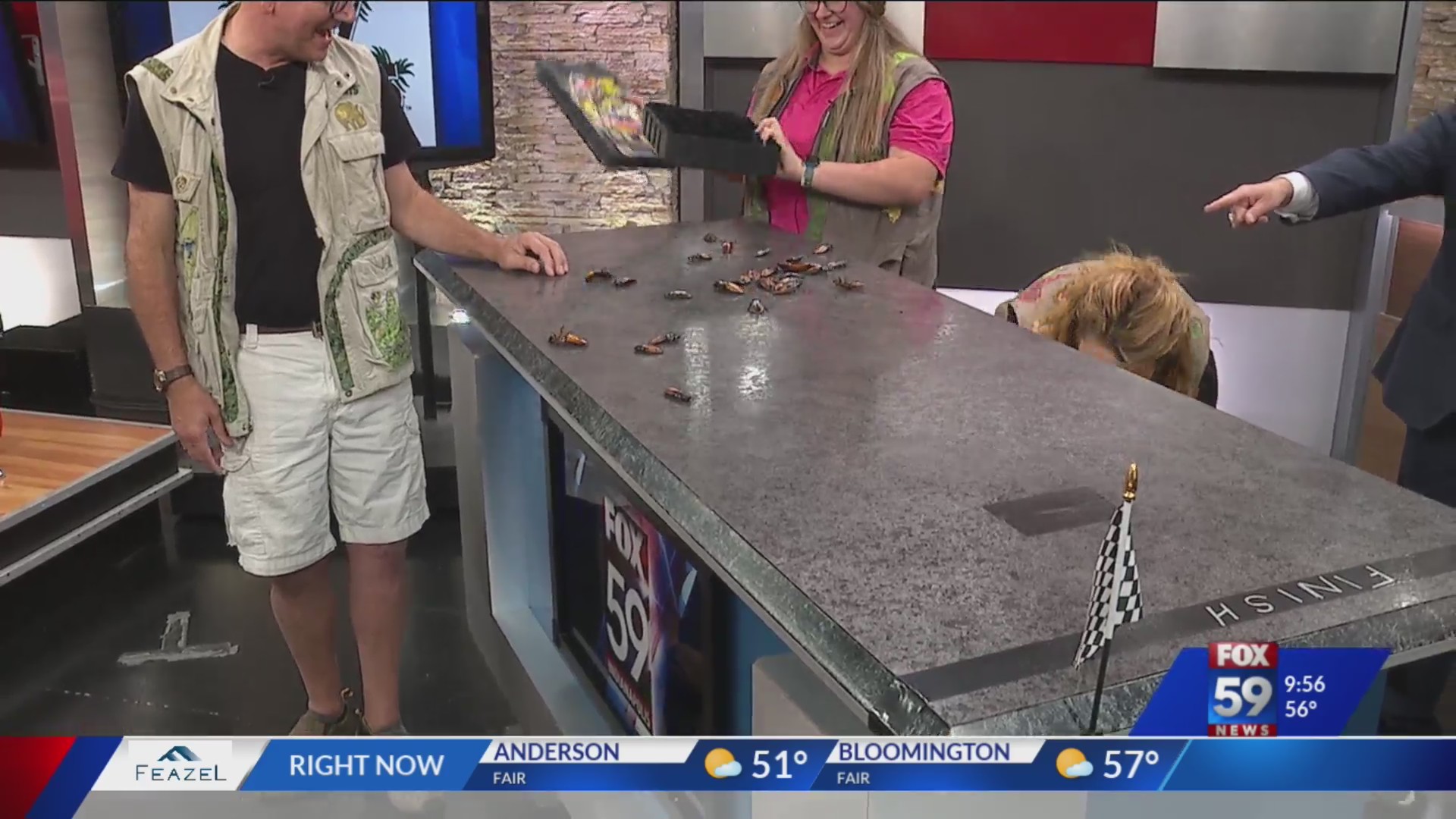 Indy 500 Cockroach Race with Silly Safaris – Fox 59