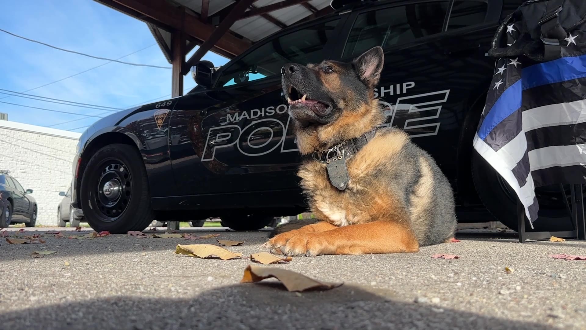 Madison Township police fundraising to restart K-9 unit – Fox 8 ...