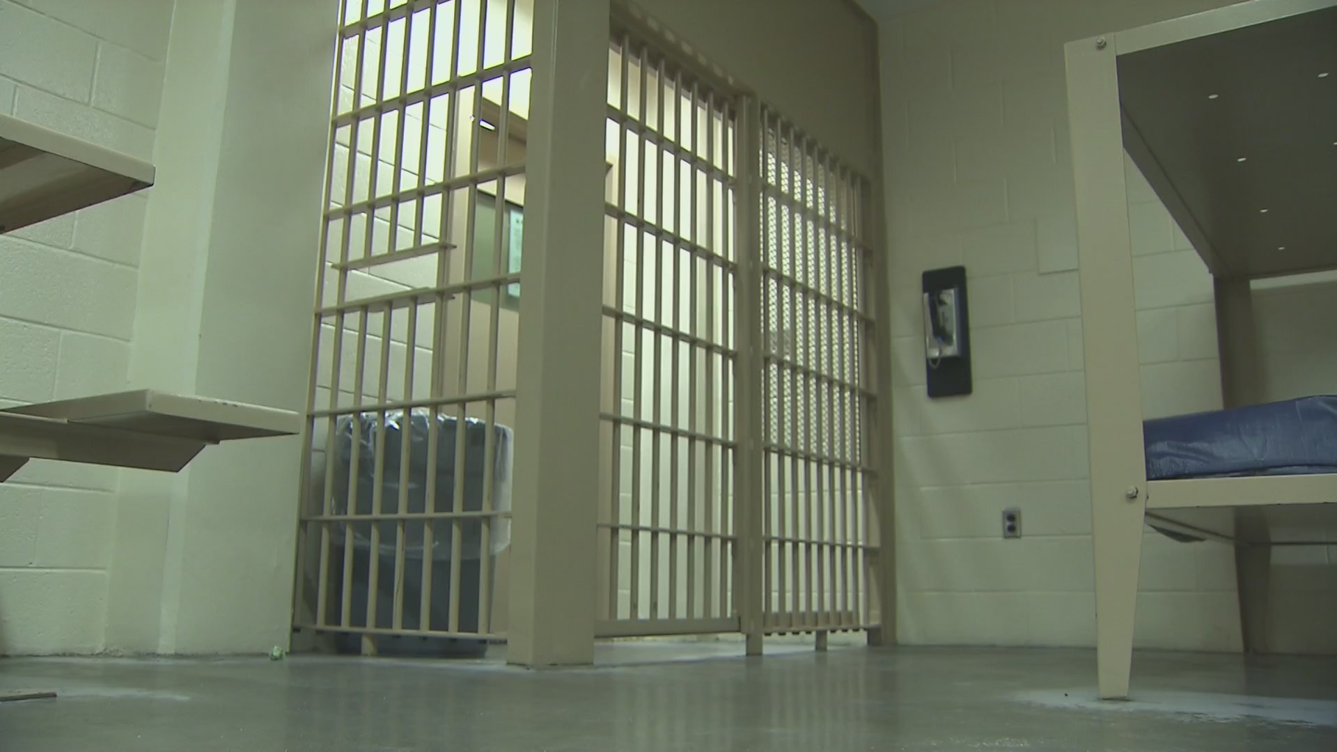 Virginia Beach family among 5 charged in 2020 unemployment fraud scheme ...