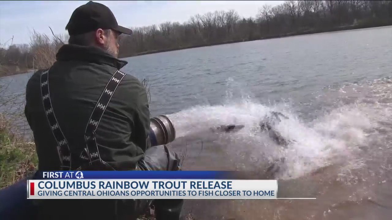 Division of Wildlife releases rainbow trout into Antrim Lake, other ...