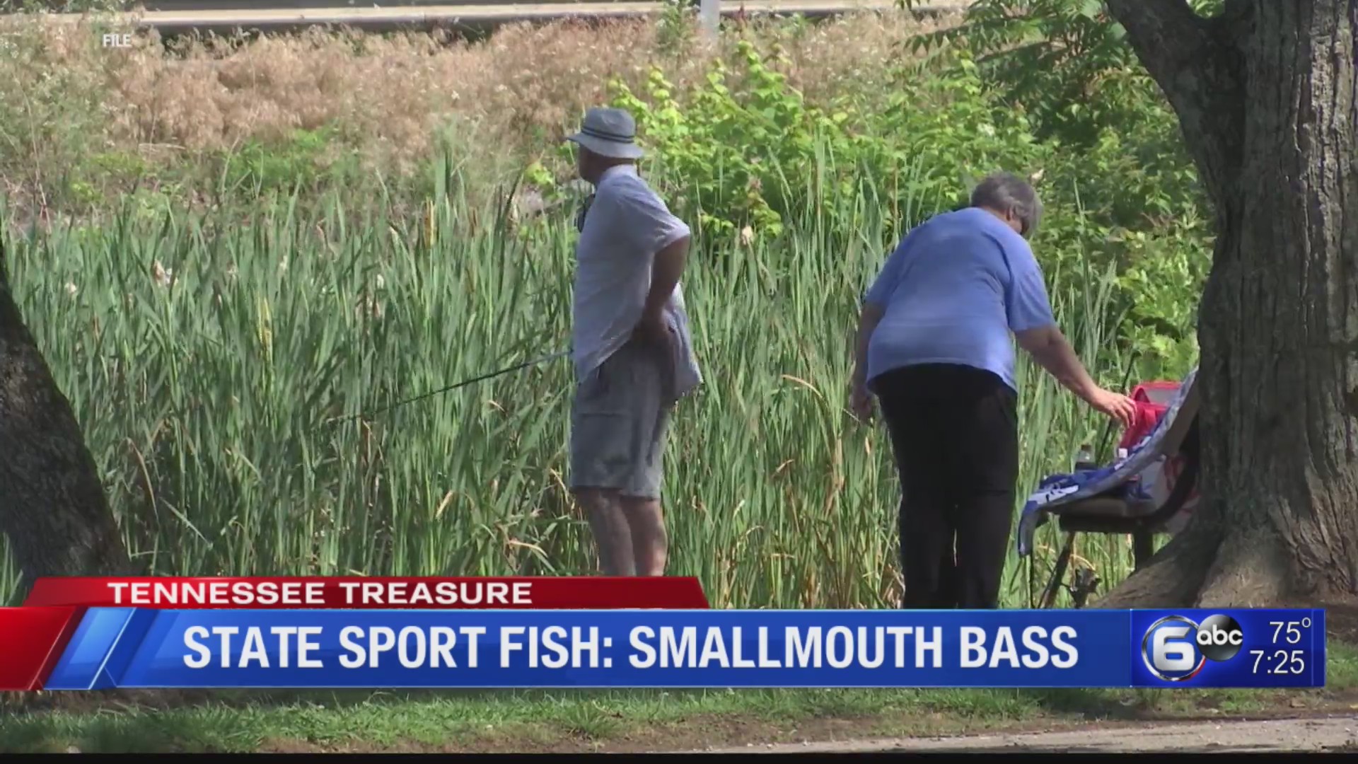 State Sport Fish: Smallmouth Bass – WATE 6 On Your Side