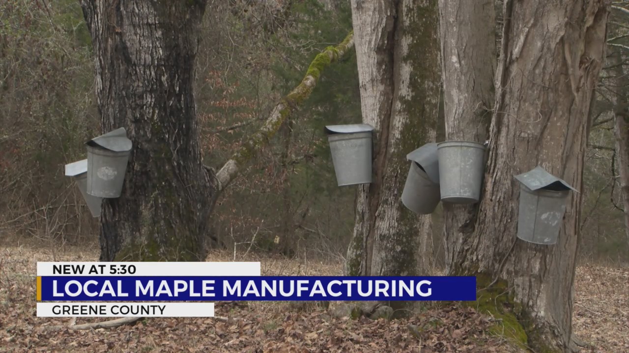 Maple Grove Farm tapping trees for sugaring season – WJHL | Tri-Cities ...