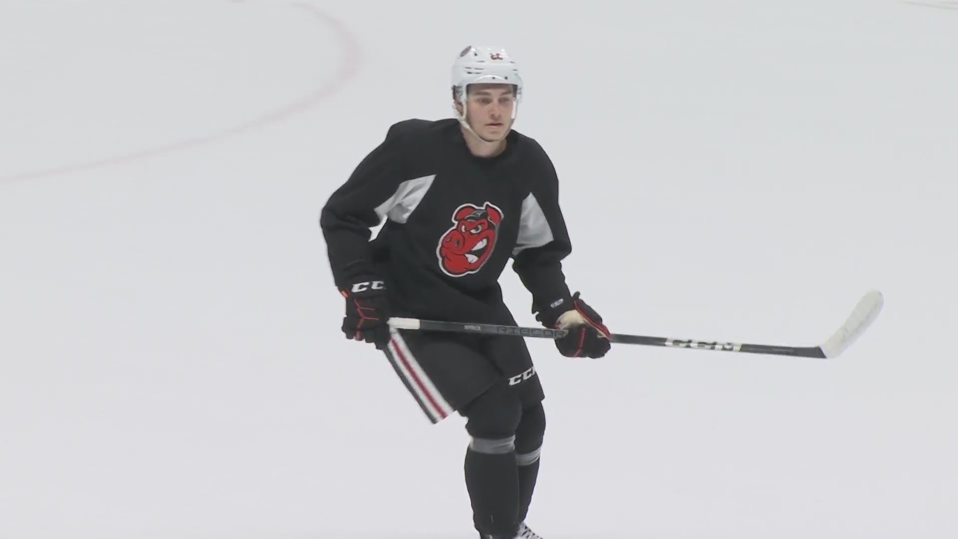 IceHogs on a roll; addition of Colton Dach makes them even stronger ...