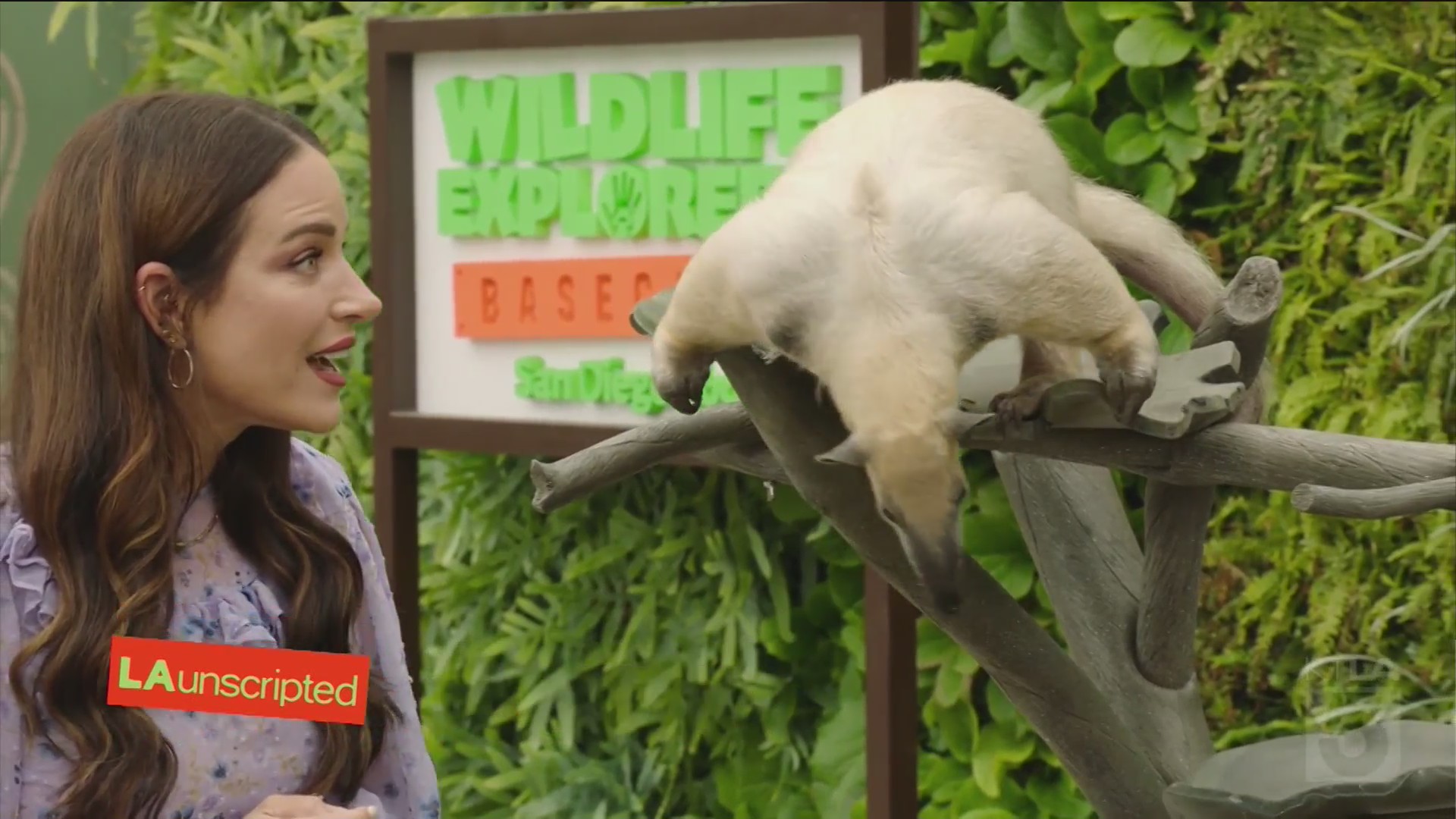 The San Diego Zoo’s Wildlife Explorers Basecamp is over 3 acres ...