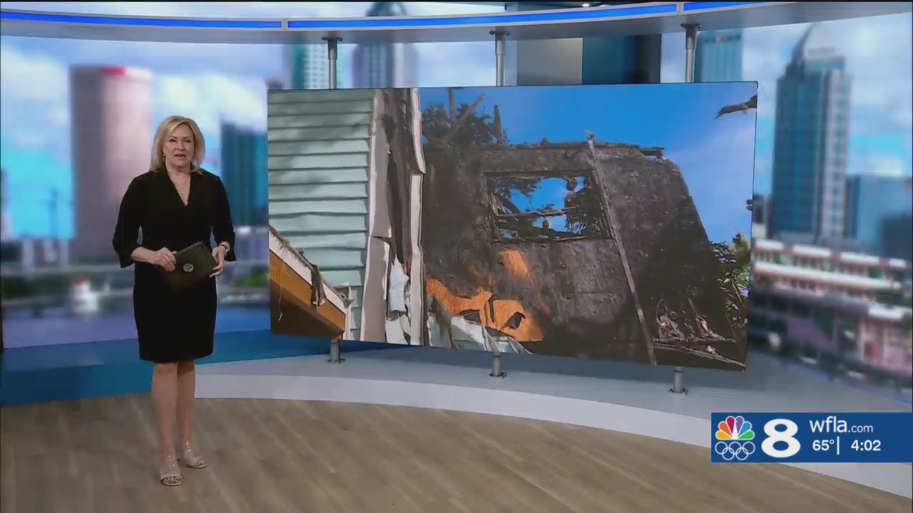 Dog saves teenage boy from house fire in Safety Harbor – WIVT – News 34