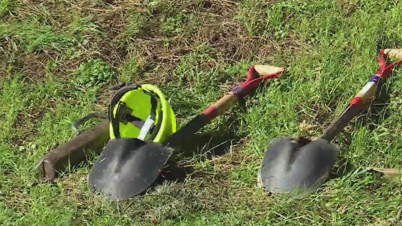 72 trees planted honoring 2021 heat wave victims – KOIN.com