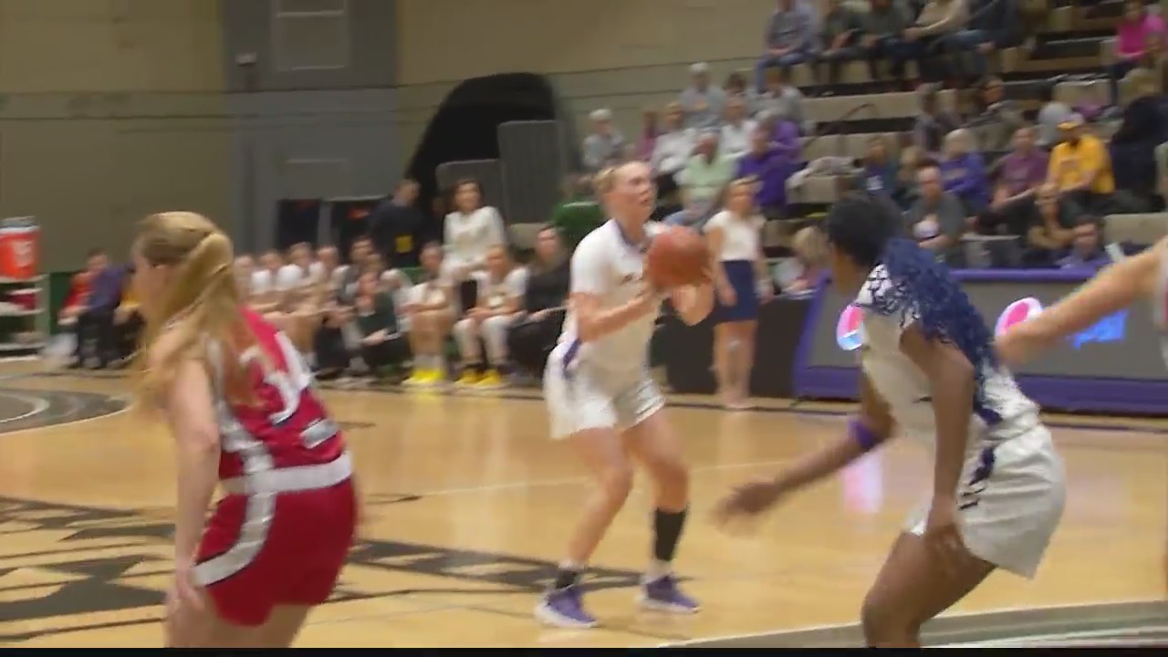 Haegerstrand, Haney lead potent UAlbany attack in win over NJIT ...