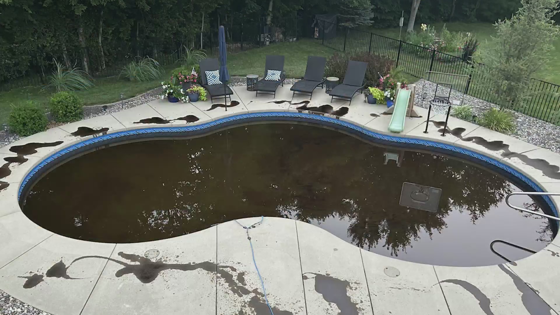 Vandals damage O’Fallon, Illinois family’s window, pool – FOX 2