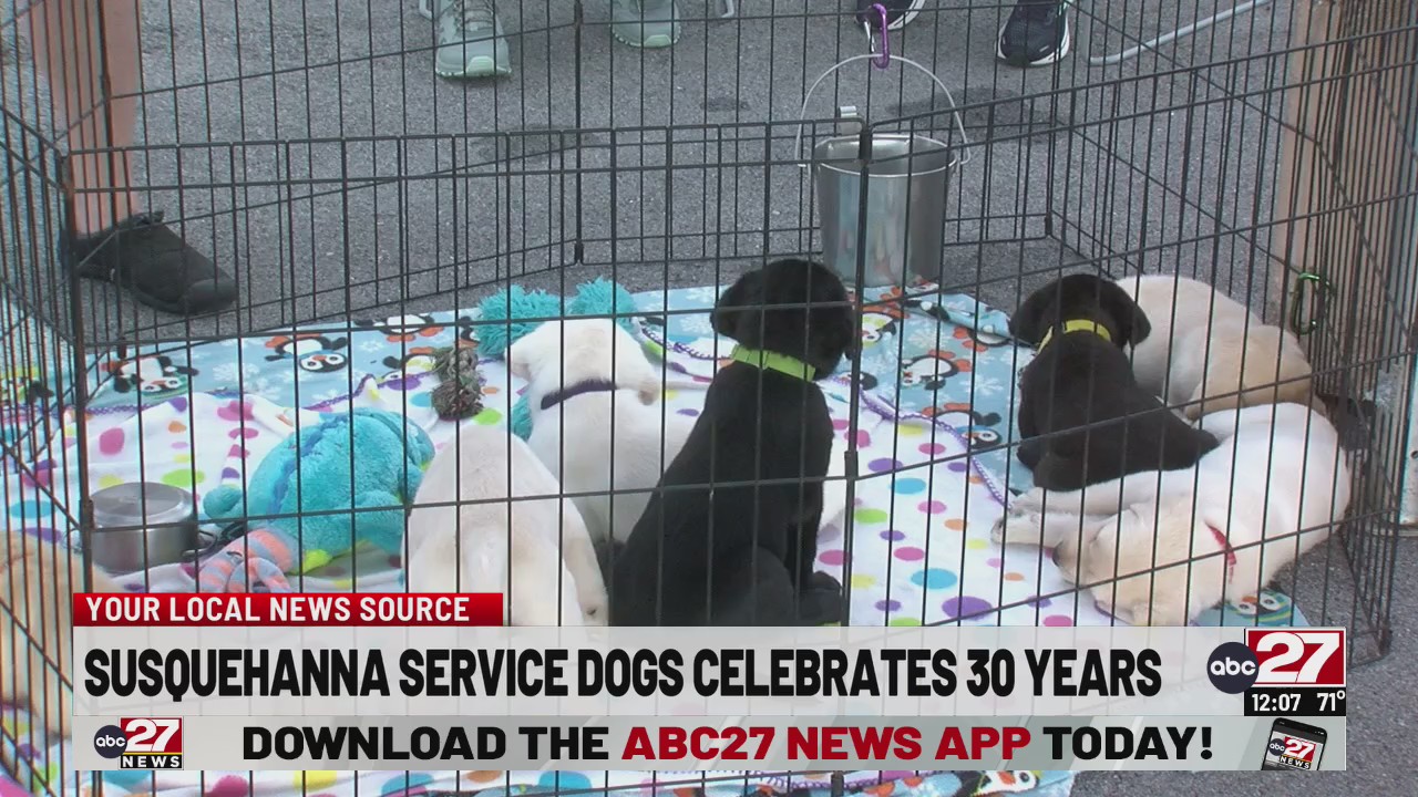 Susquehanna Service Dogs holds open house to celebrate 30 years of ...