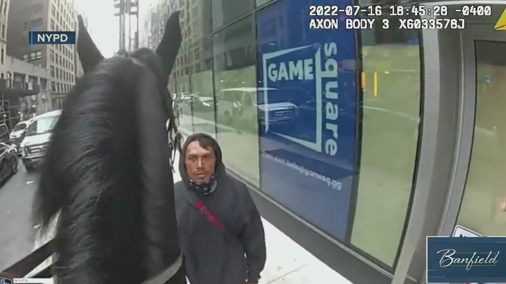 Watch these wild animal interactions from the week | Banfield – NewsNation