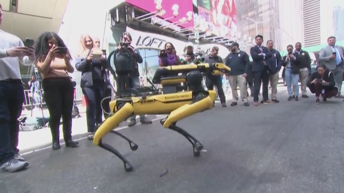 Rise of robocop? New York City introduces crime-fighting robots | On ...