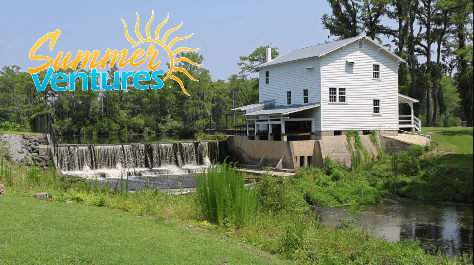 Summer Ventures: Brock Mill Pond – WNCT