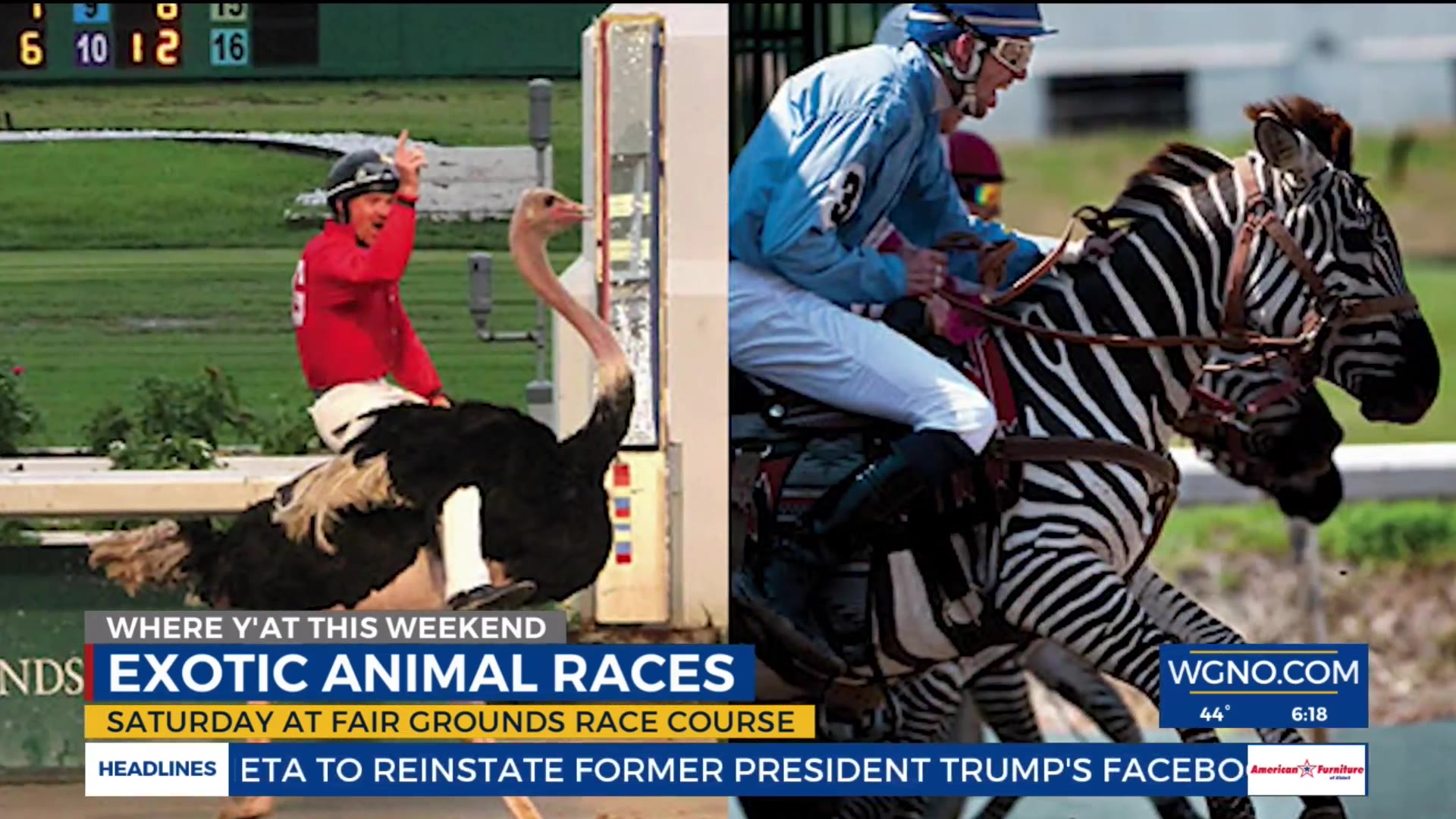 Where Y’at this Weekend? Burlesque, Exotic Animals, Ballet in Drag, and ...