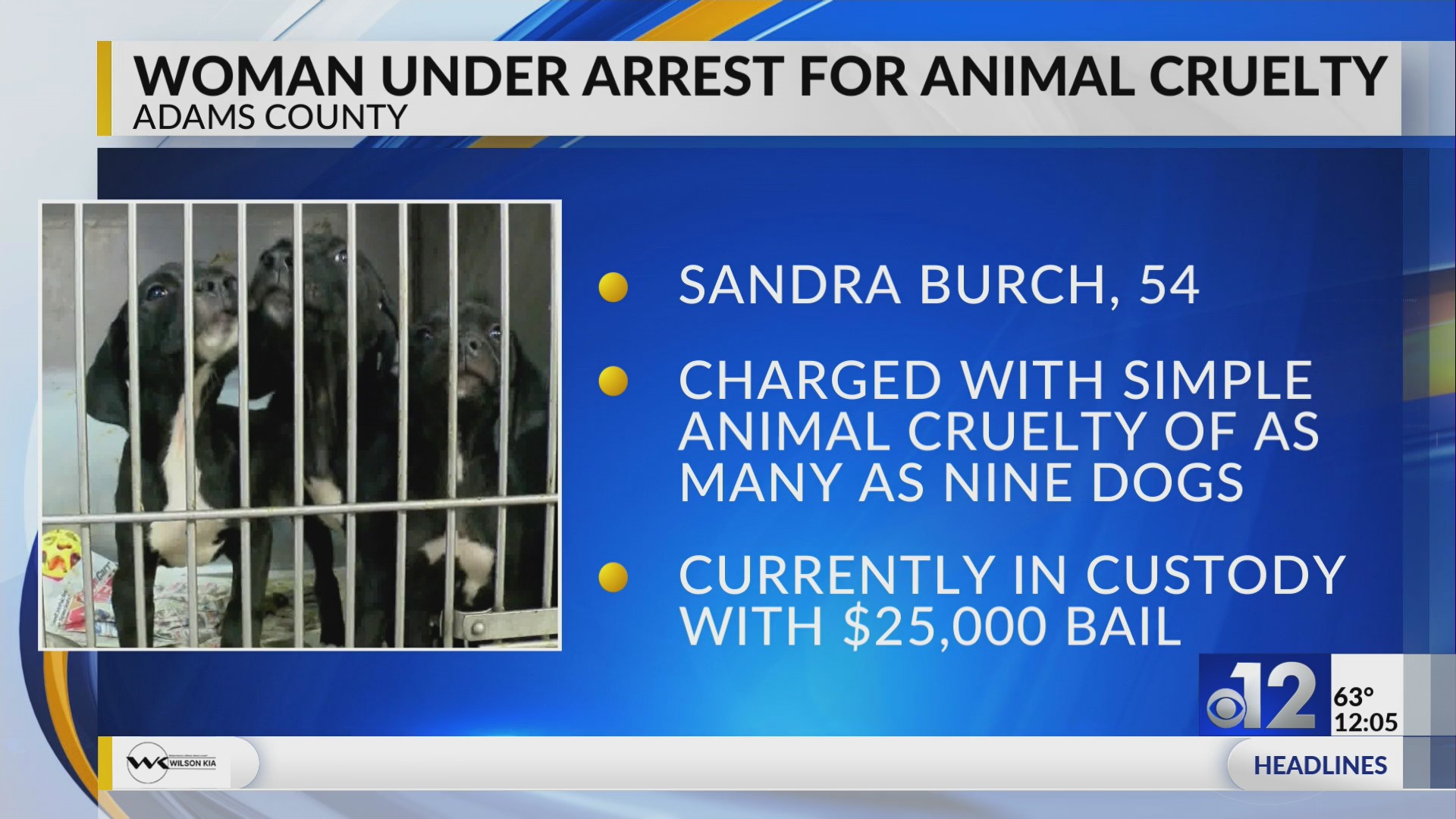 Adams County woman charged with animal cruelty – WJTV