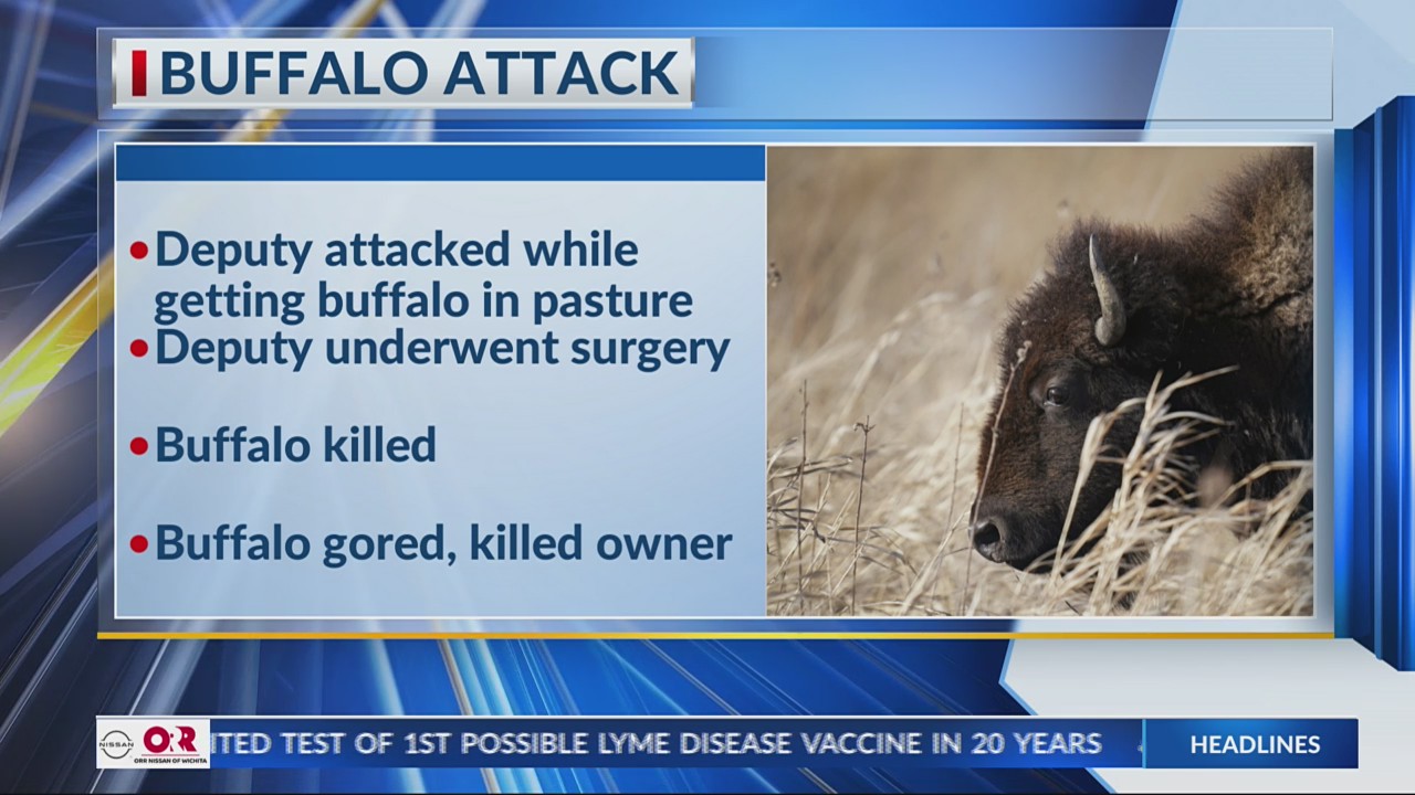 Bison owner killed, deputy seriously injured – KSN-TV