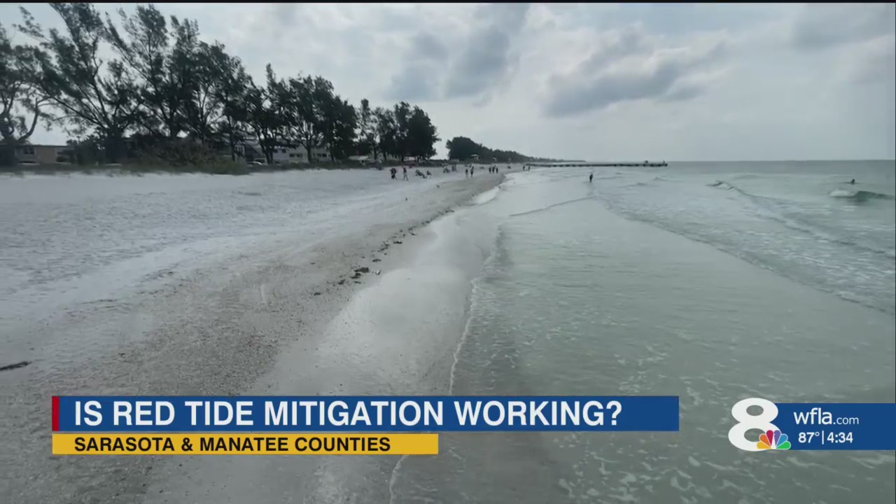 Manatee County mitigates red tide impacts, collecting 7,000 pounds of ...