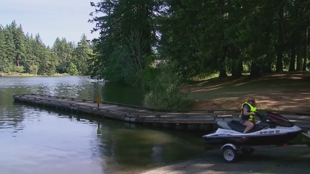 Professor talks about deadly algae in Oregon’s waterways – KOIN.com