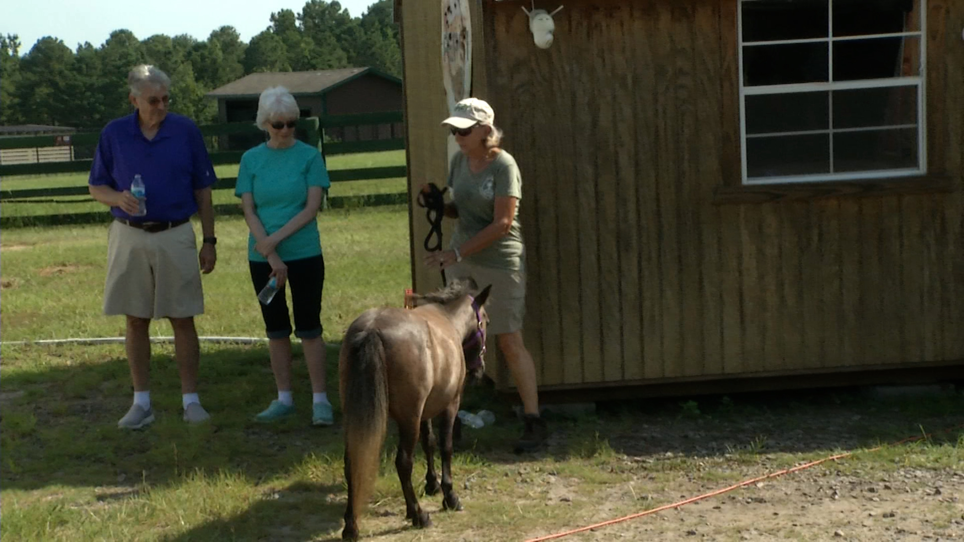 Aiken Equine Rescue has ground breaking for new barn – WJBF