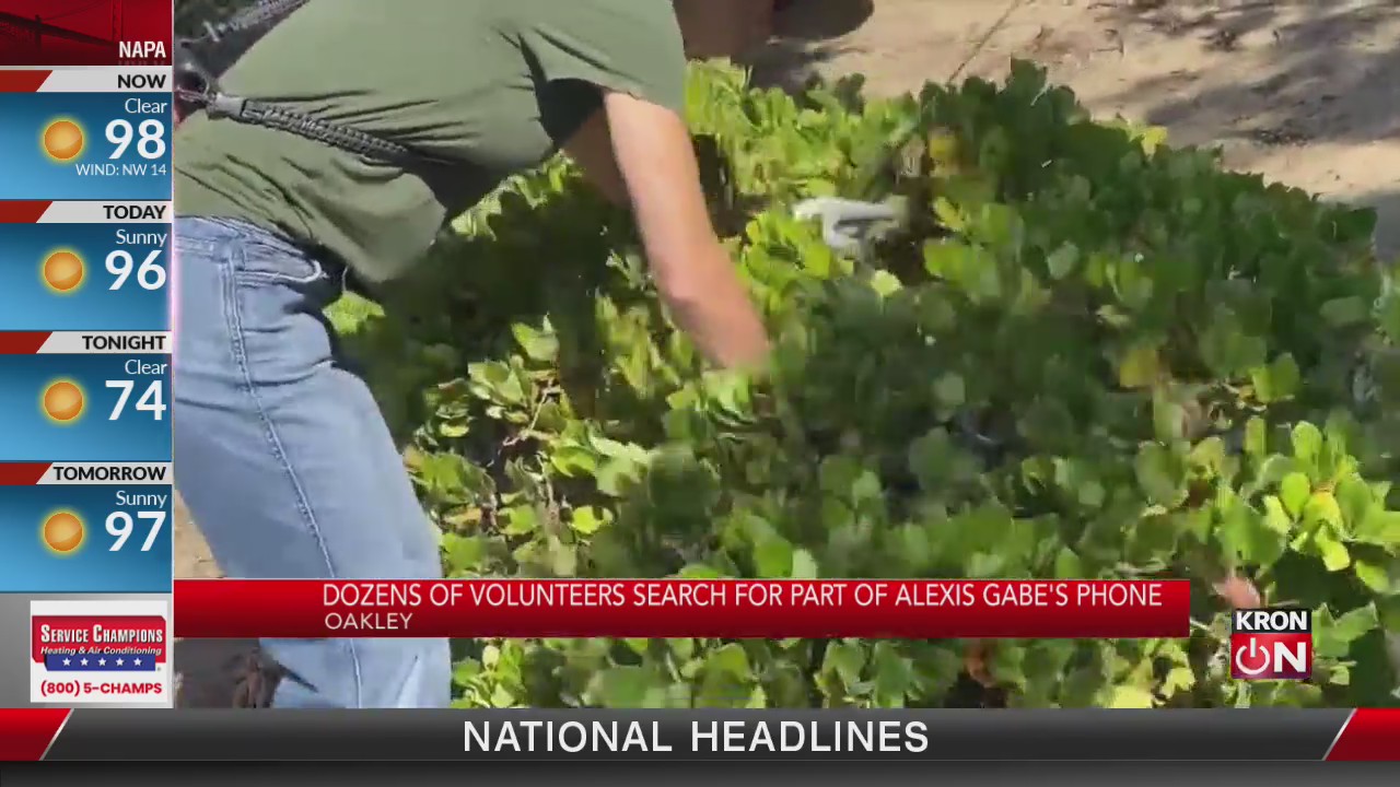 Dozens of volunteers search for more evidence in Alexis Gabe case – KRON4