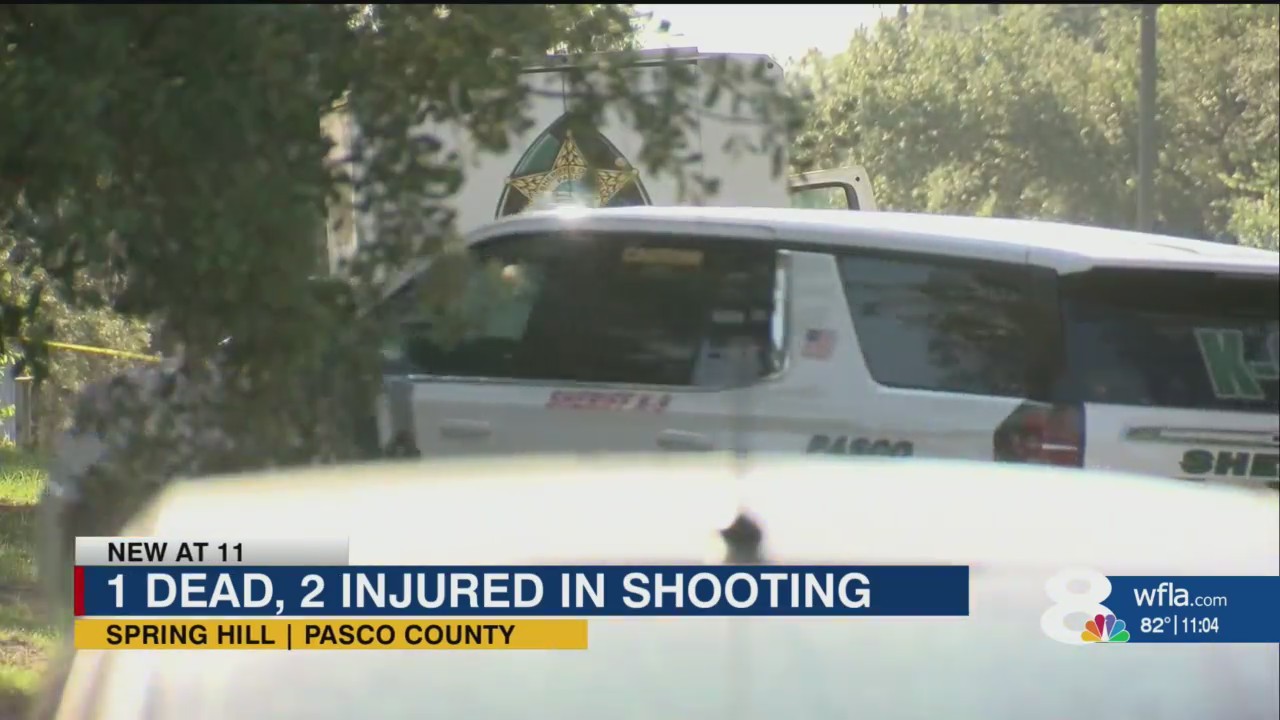 Spring Hill shooting leaves 1 dead, sends man and child to hospital – WFLA